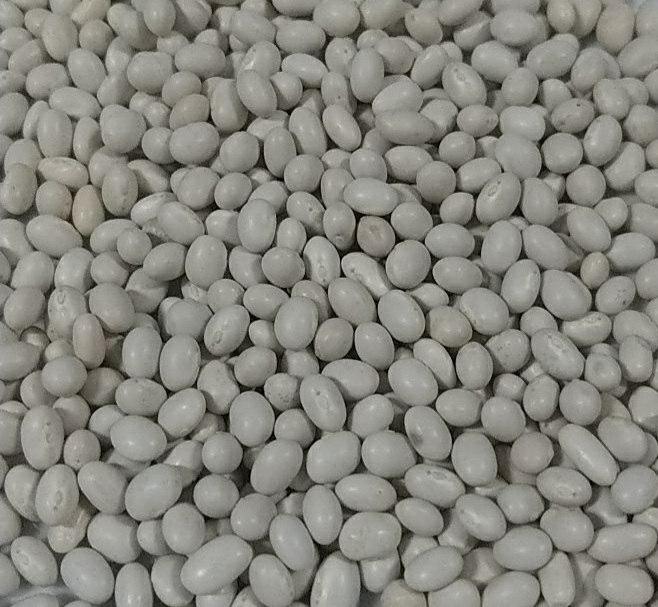 White Pea Beans-Navey Beans – Green Way Import and Export